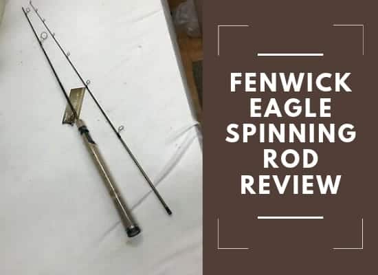 Fenwick Eagle Spinning Rod Review: 5 Reasons Why it ROCKS
