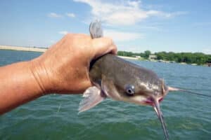 Best Fishing Methods | 16 Ways To Try This Year